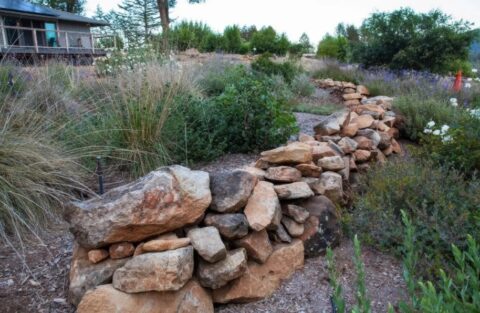 Defensible Space | Alameda County Fire Department